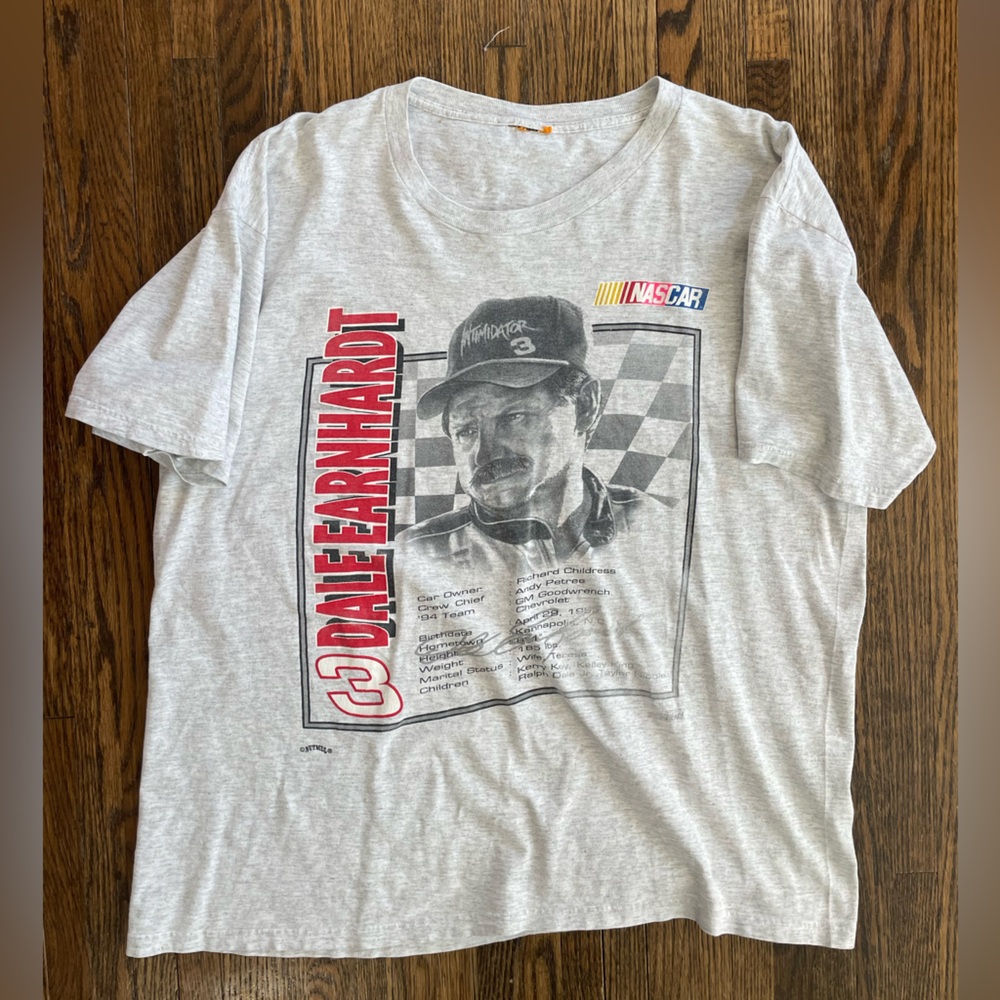 Vintage Nascar Dale Earnhardt Racing Race Car Nutmeg … - Gem